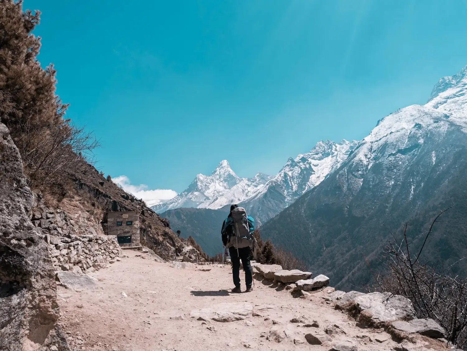 What Are the Best Trekking Routes in Nepal for First-Time Trekkers?